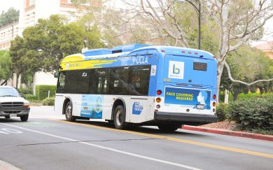 UCLA Transportation Advertising | Transportation