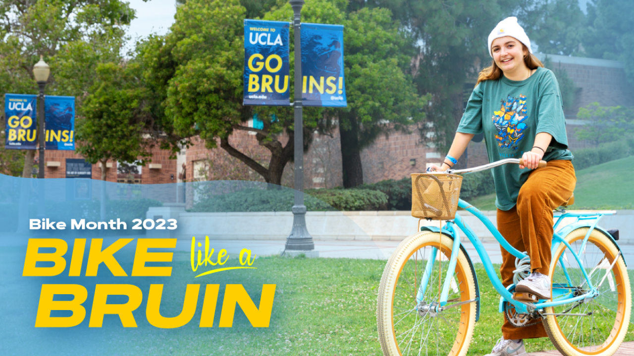 Bruins Just Wanna Bike | Transportation
